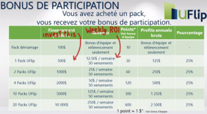 uFlip Review: Canadian real estate projects?