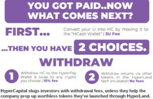 HyperCapital Review: HyperCash resurrection Ponzi scheme